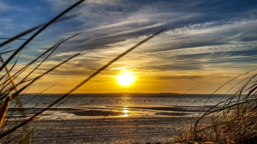 Insel Föhr - Ferien auf Föhr - Ferienwohnungen buchen